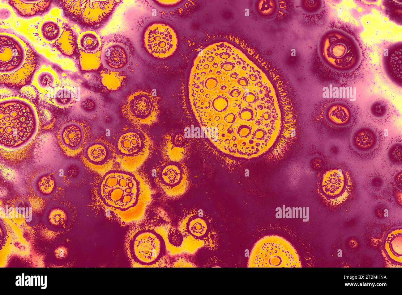 Bubble form structure hi-res stock photography and images - Alamy