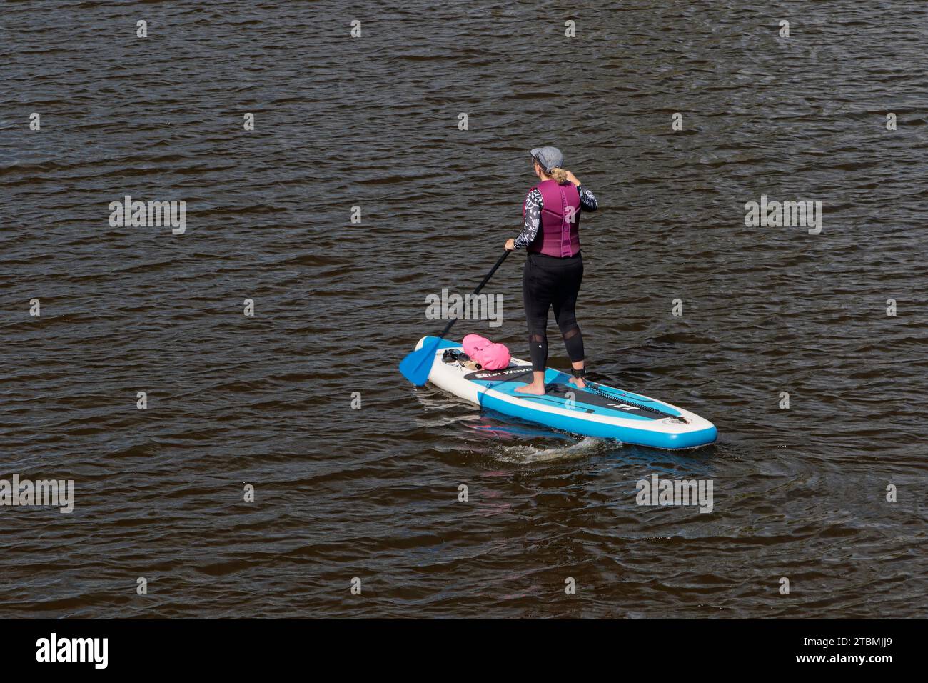 Stand-up paddler in river, Province of Quebec, Canada Stock Photo - Alamy