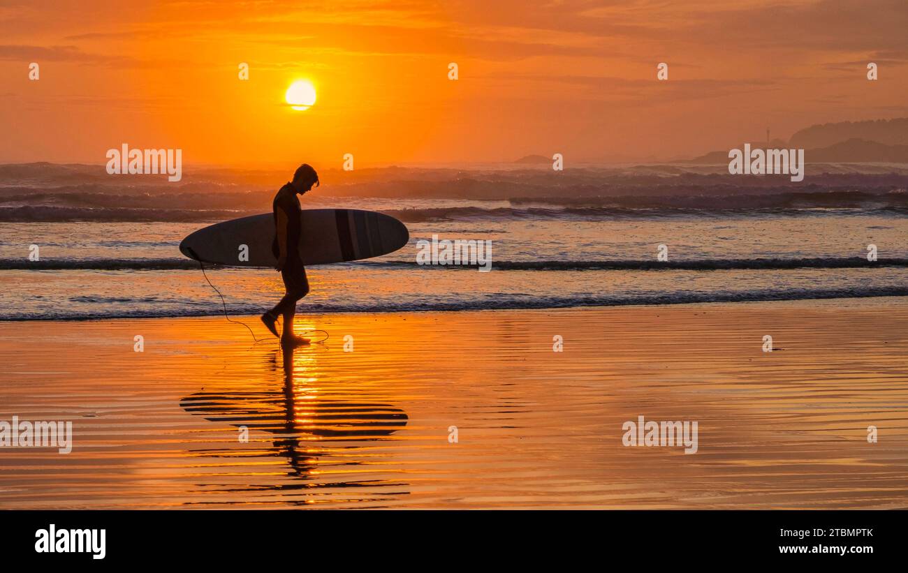 Tofino Beach Vancouver Island Pacific rim coast during sunset, surfers ...