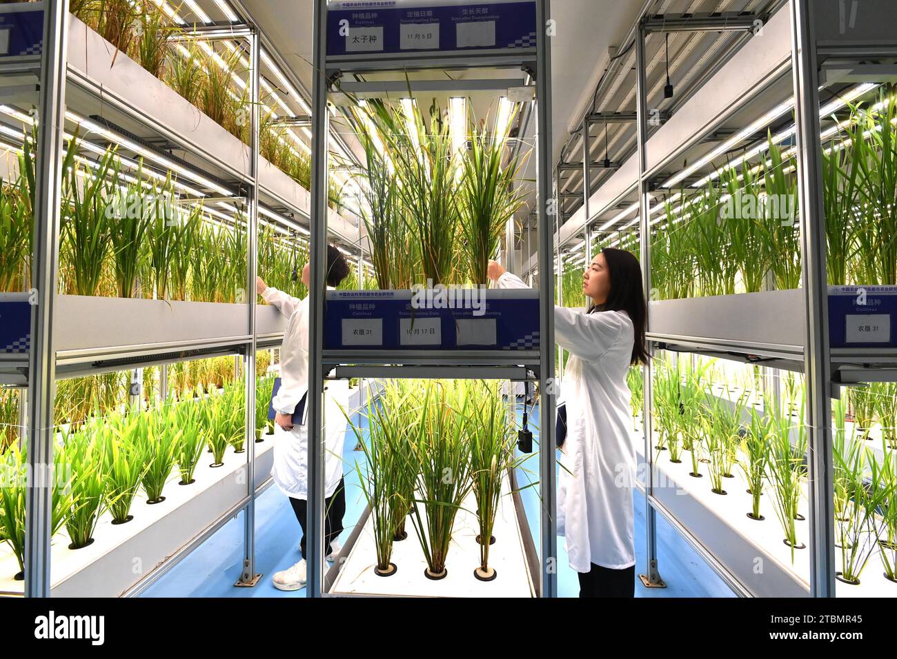 **CHINESE MAINLAND, HONG KONG, MACAU AND TAIWAN OUT** Researchers check ...