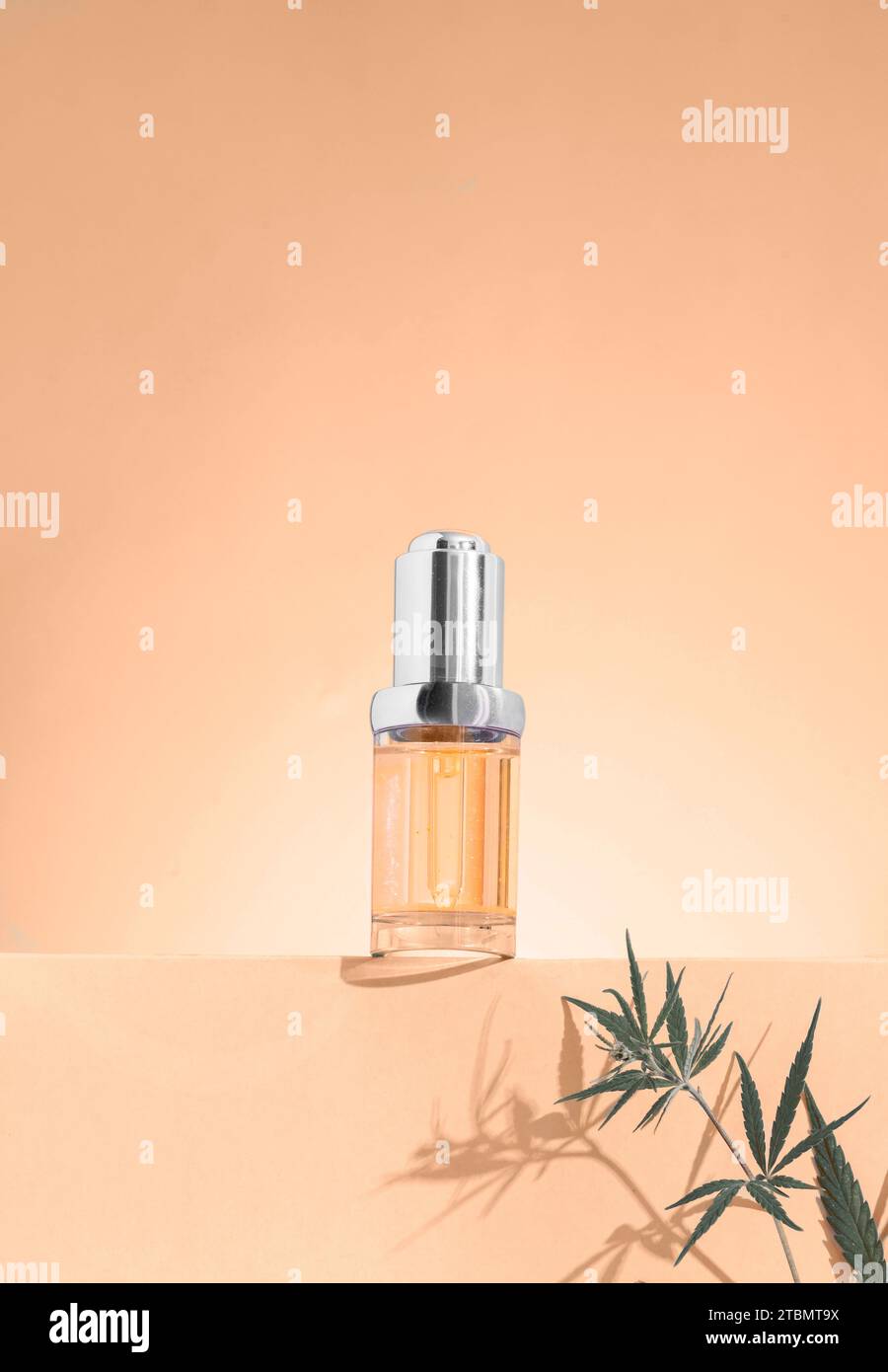 glass bottle with CBD oil, THC tincture on a pastel background with ...