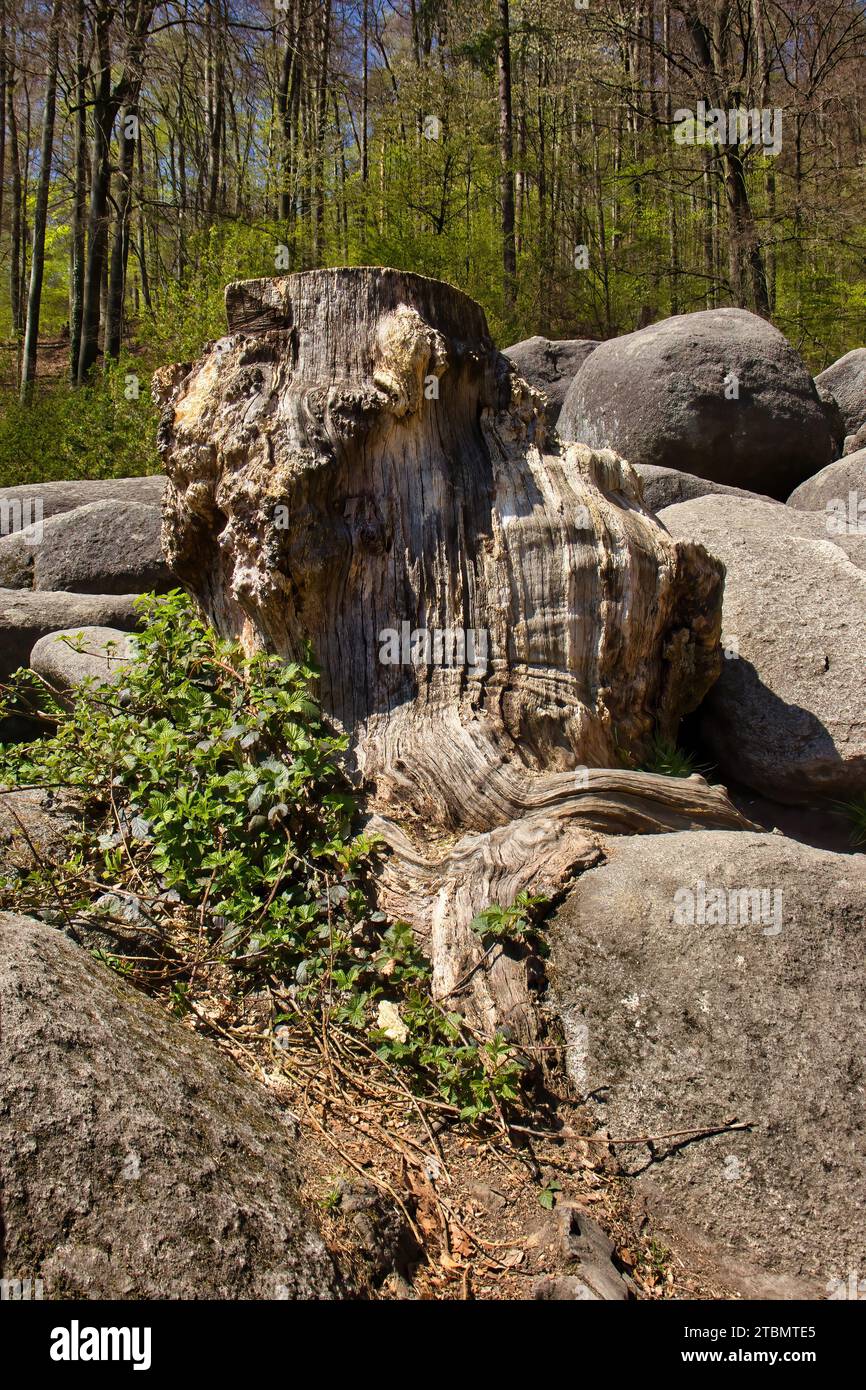 Felsenmeer sea rocks odenwald germany hi-res stock photography and ...