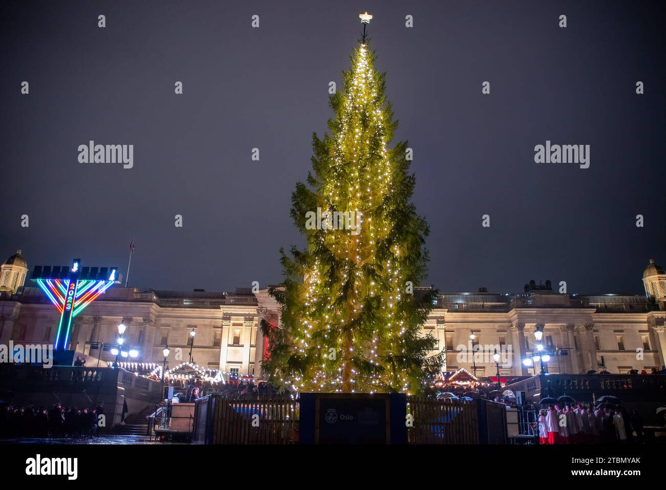 London, UK. 07th Dec, 2023. Norwegian Christmas tree stands with the ...