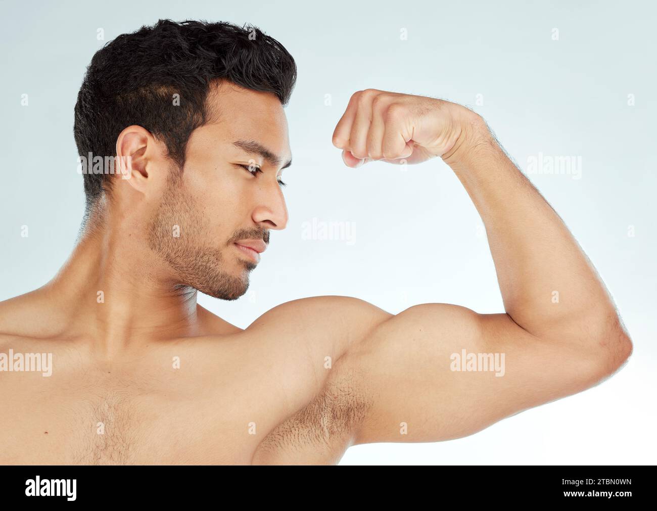 Fitness, asian man and bicep flex in studio for wellness, training or ...