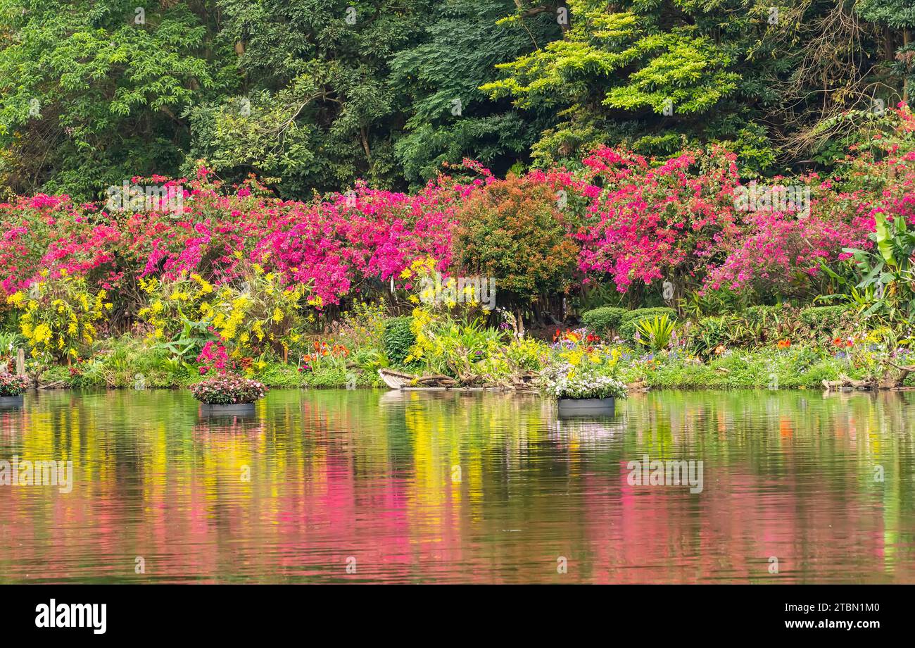 Floating pots hi-res stock photography and images - Alamy