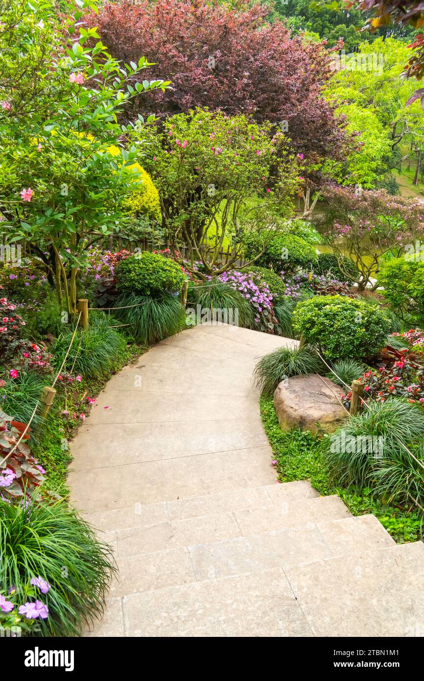 path leading through a garden Stock Photo - Alamy
