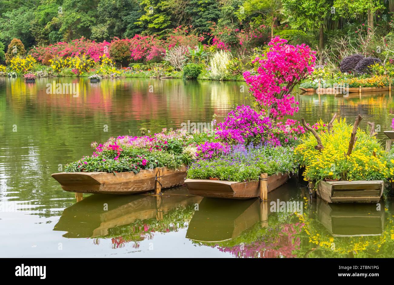 boat full with plants and flowers floating on water Stock Photo - Alamy