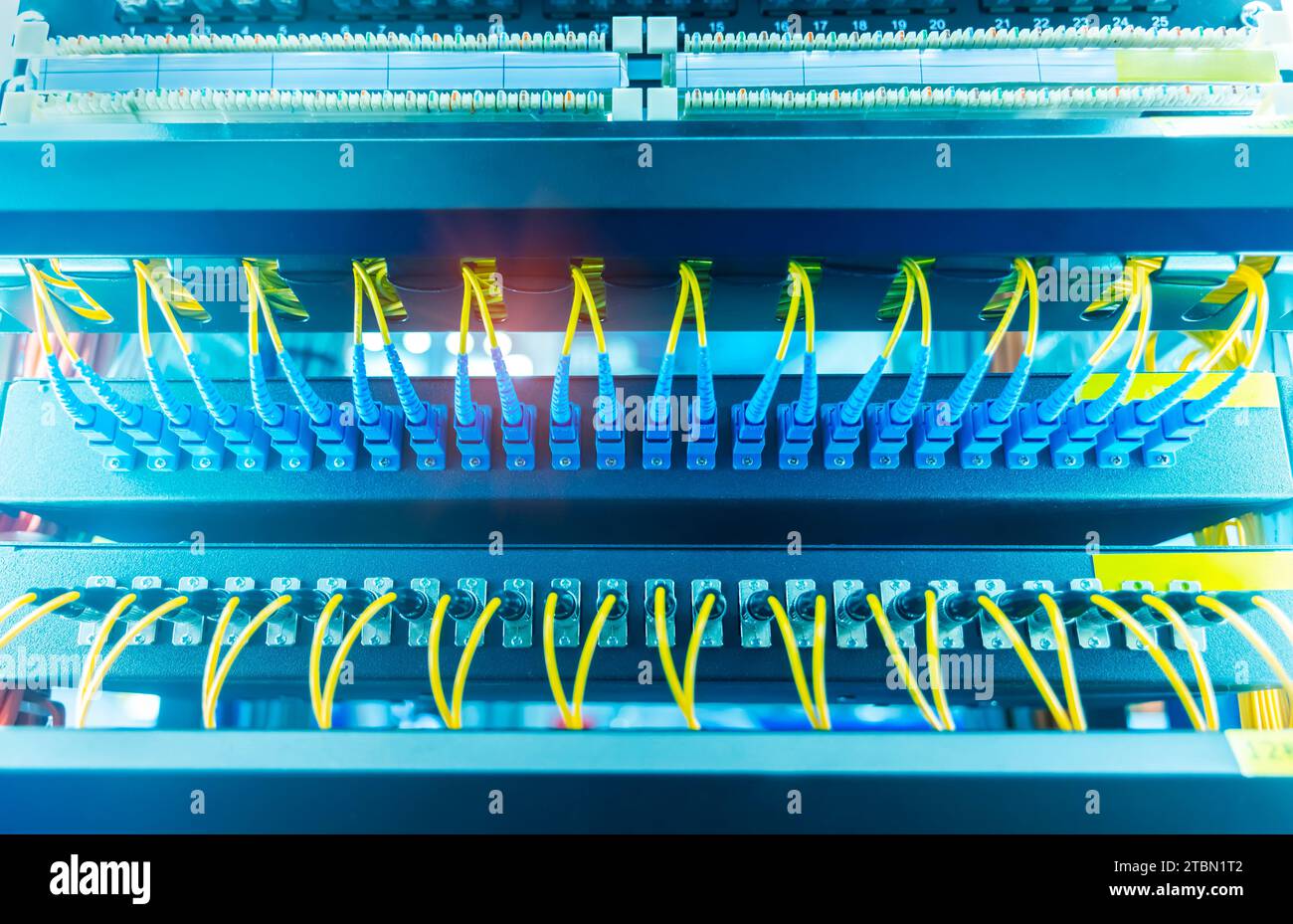 Fiber Optic cables connected to an optic ports Stock Photo - Alamy