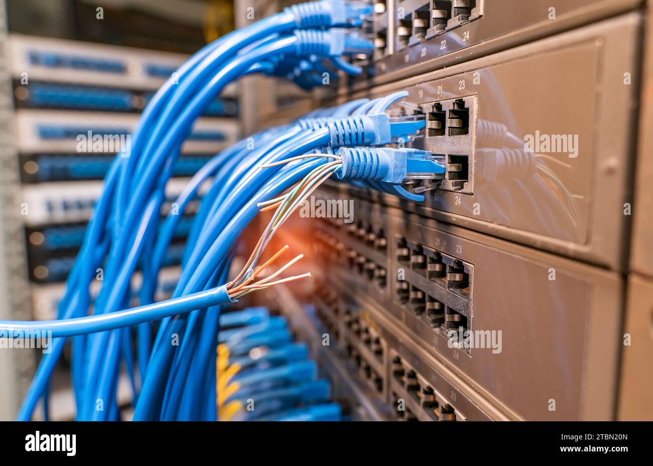 damaged stranded network cable is located on the background of the ...