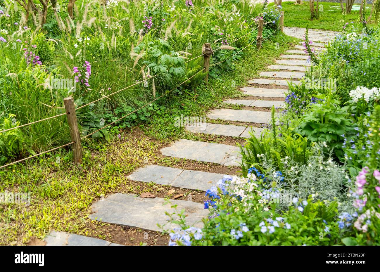 path leading through a garden Stock Photo - Alamy