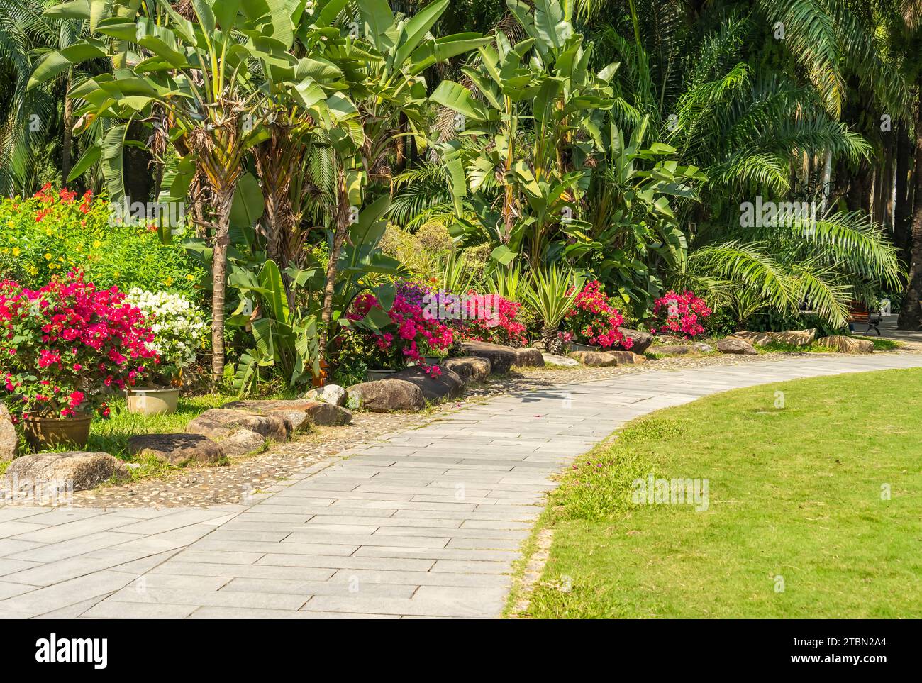 path leading through a garden Stock Photo - Alamy