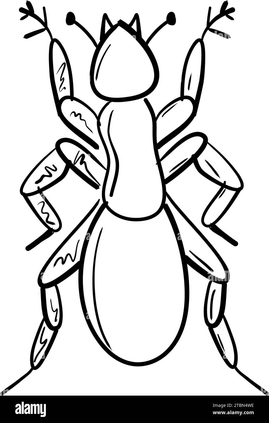 Vector hand drawn ant outline doodle icon, Ant sketch illustration for ...