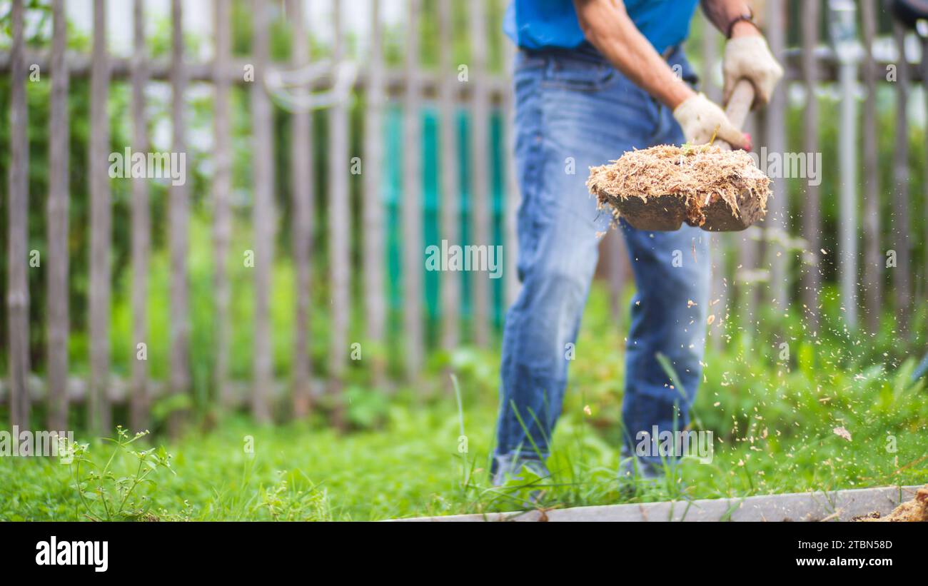 Farmer prepare the soil for planting crops in the garden. Cultivated ...