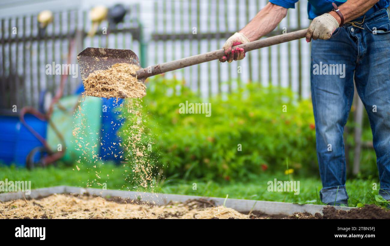 Farmer prepare the soil for planting crops in the garden. Cultivated ...