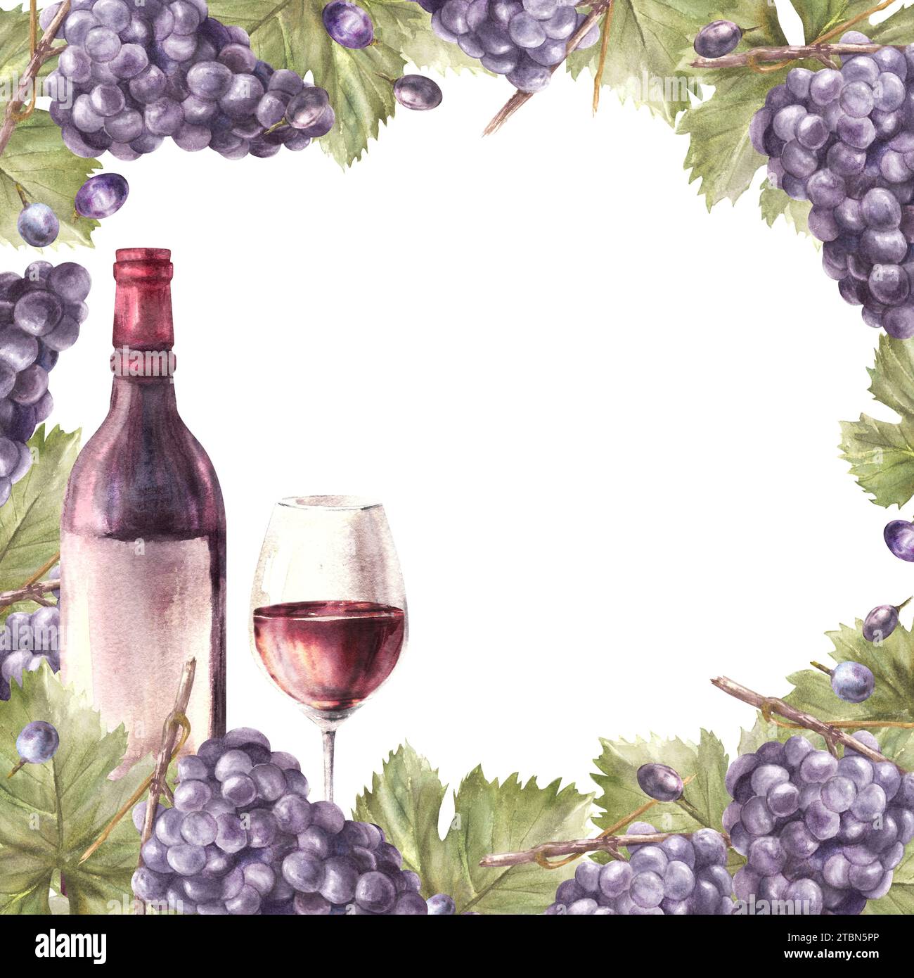 Watercolor square frame bunch of blue grapes, leaves and berry with ...