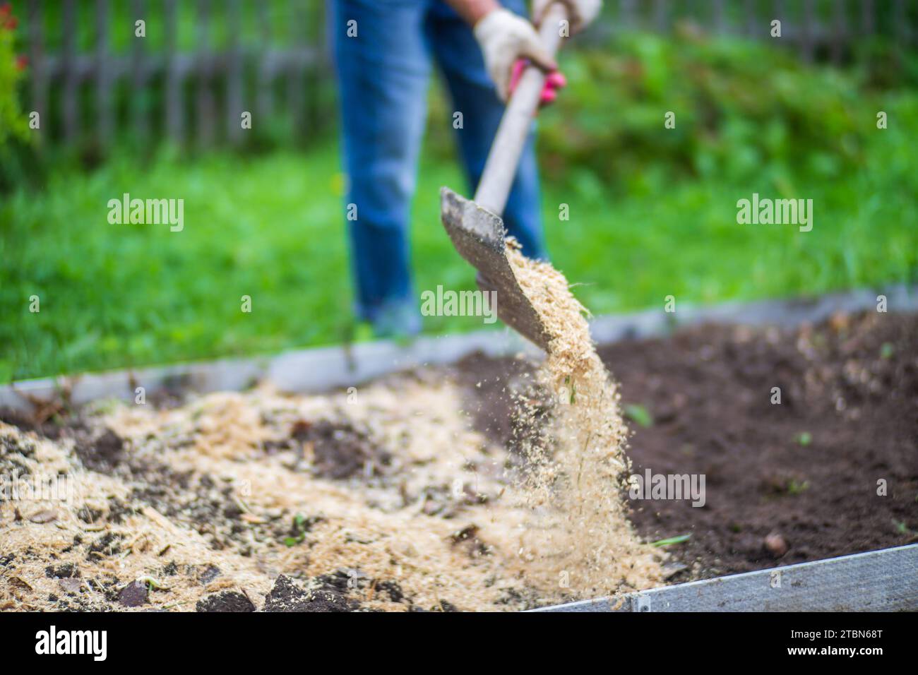 Farmer prepare the soil for planting crops in the garden. Cultivated ...