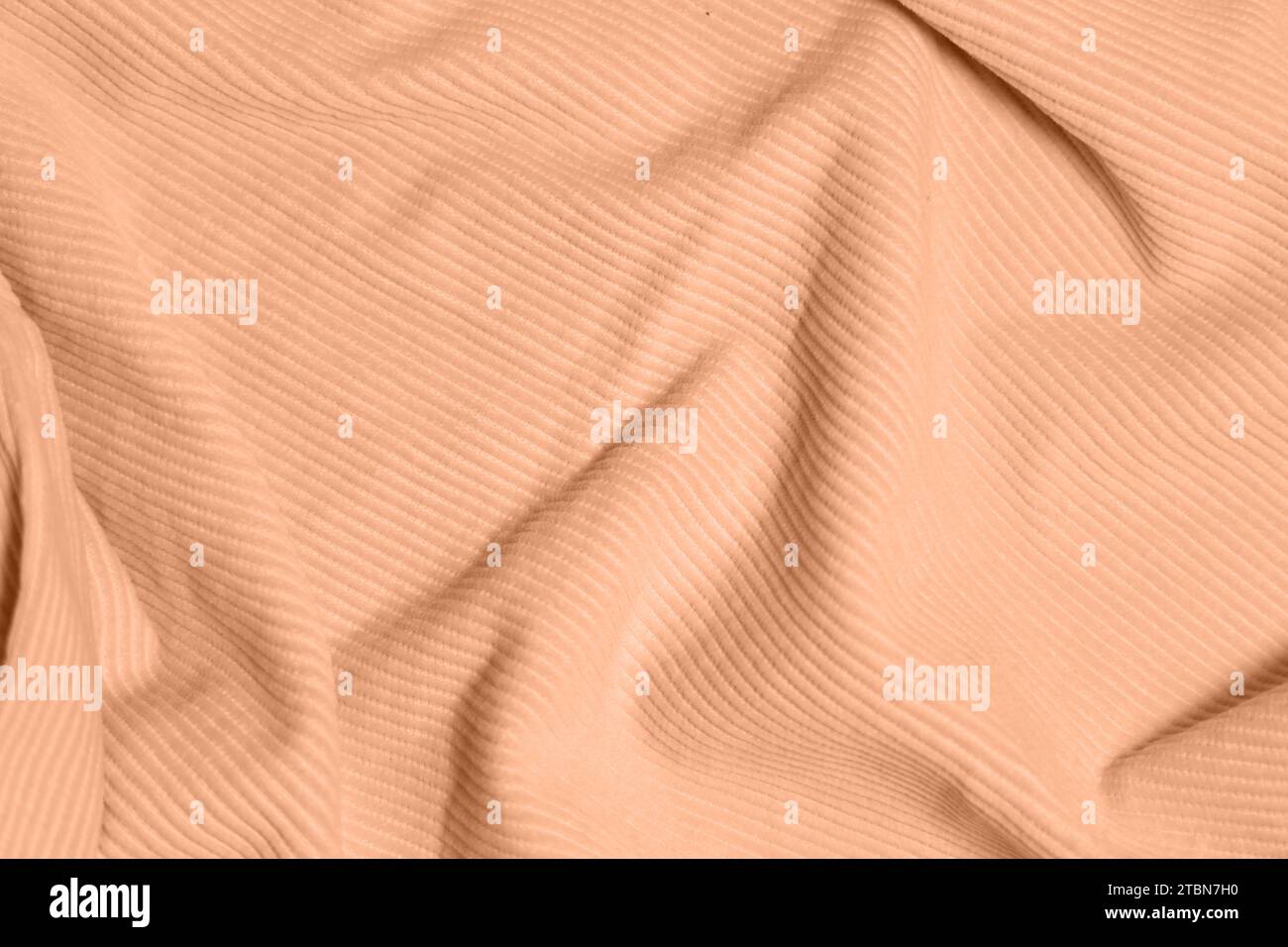 Peach fuzz, color of the year 2024, velvety fabric texture. Texture of velvet textile toned on ...