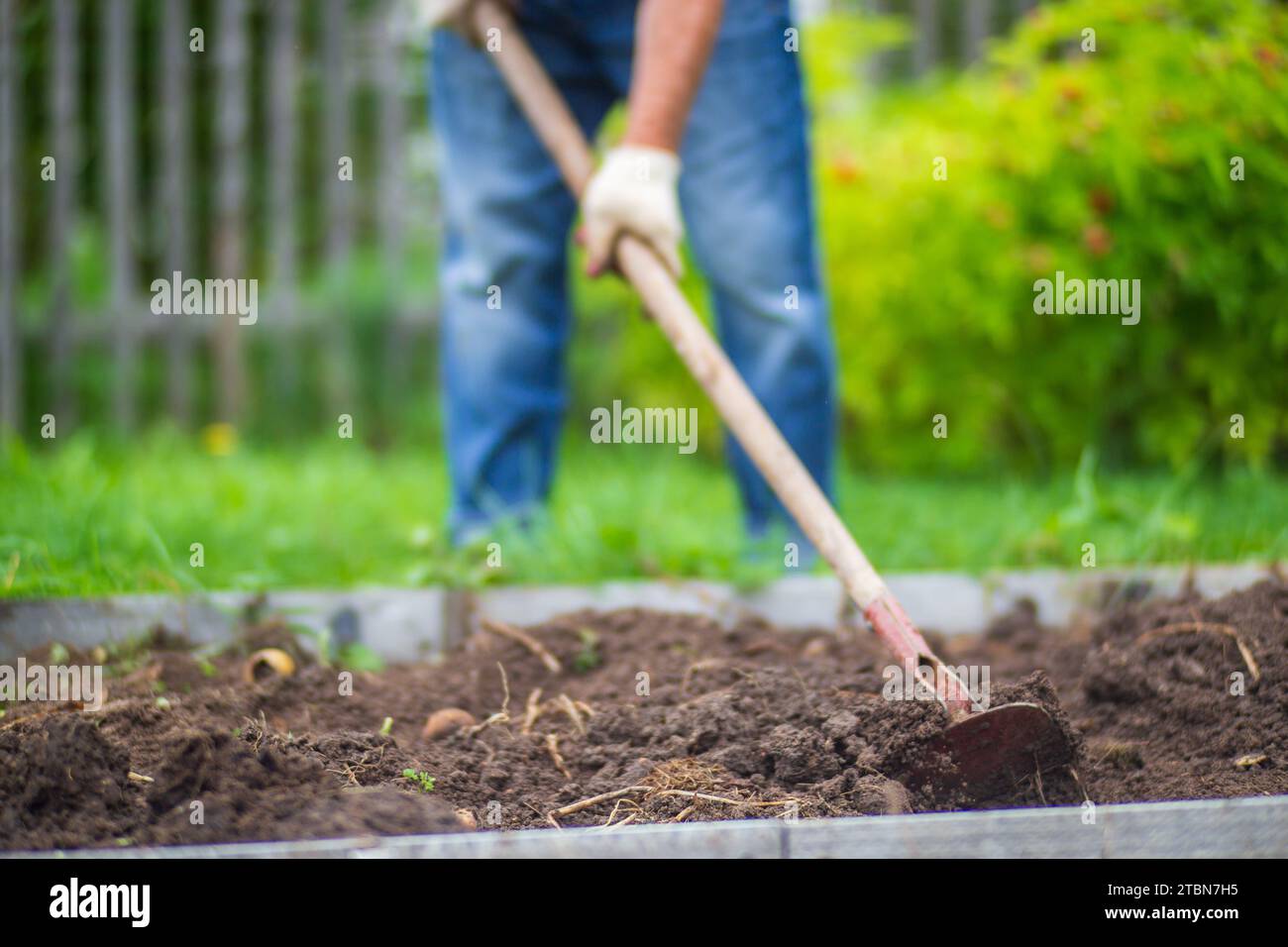 Farmer cultivating land in the garden with hand tools. Soil loosening ...