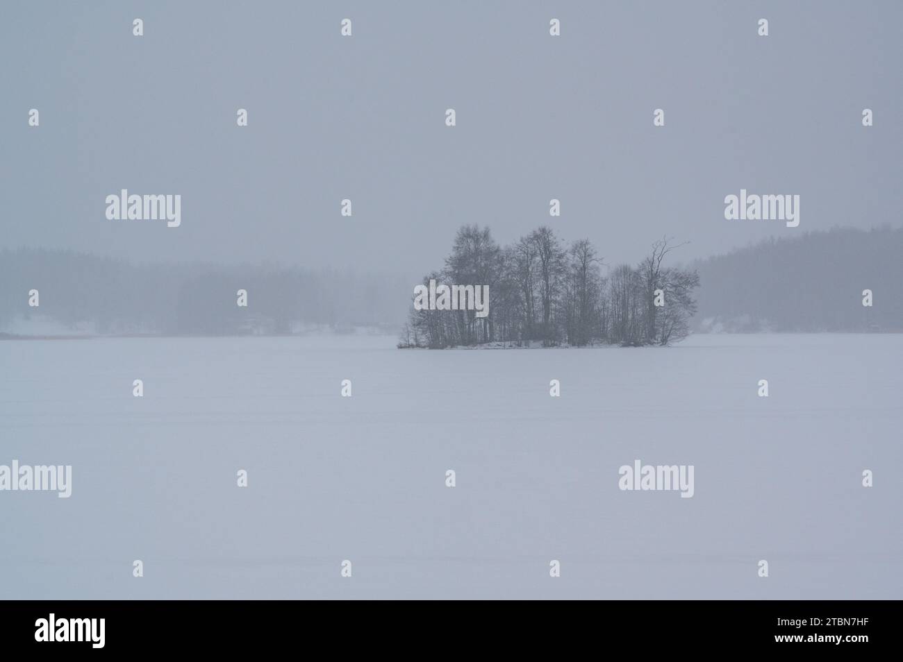 A frozen lake with snow on top and small island in poor visibility ...