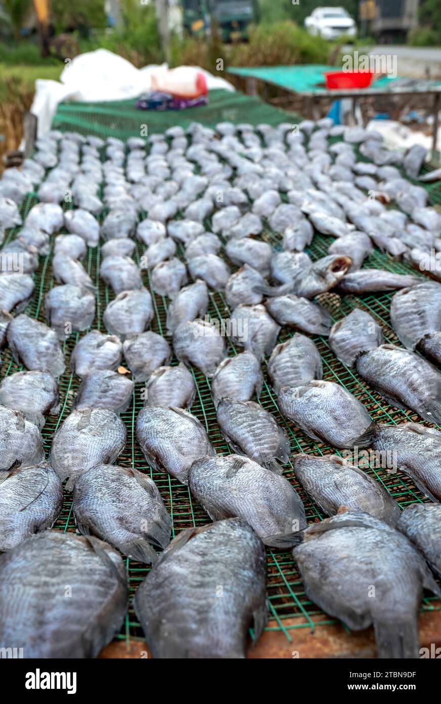 Solar cooking asia hi-res stock photography and images - Alamy