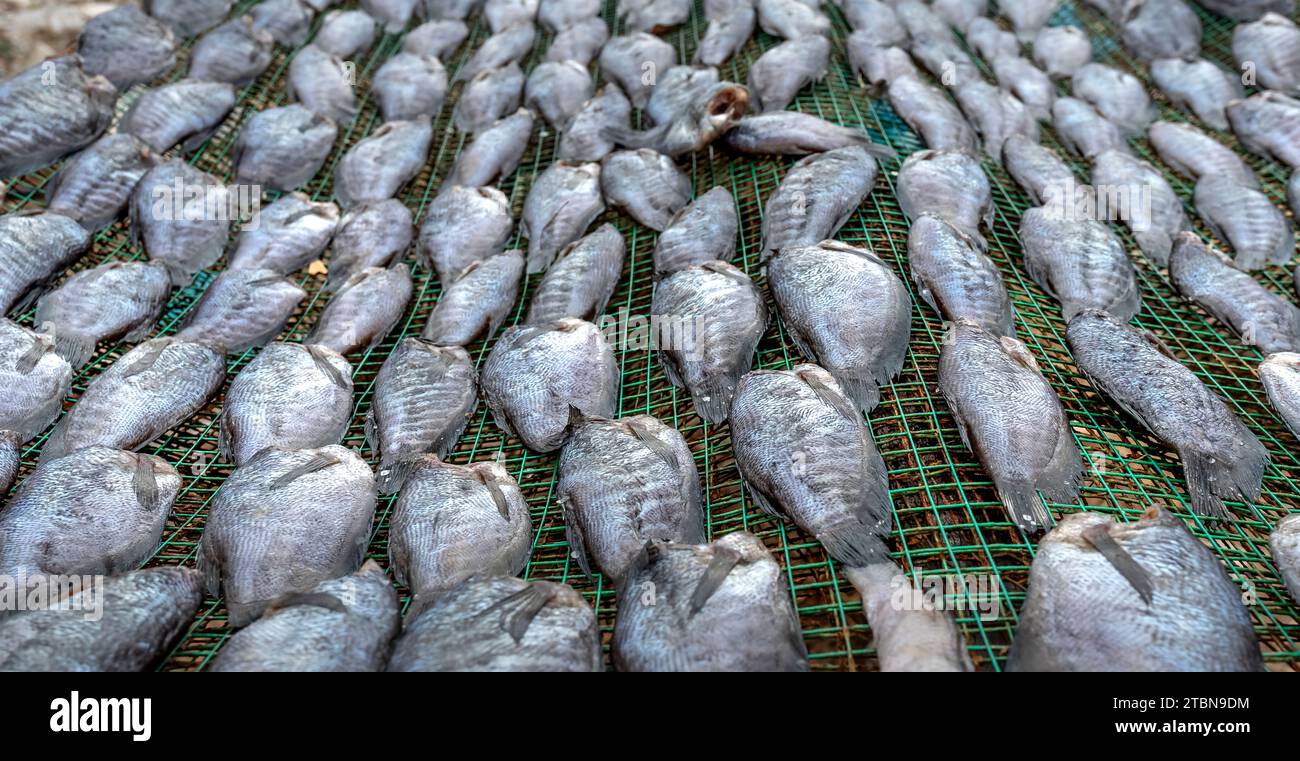 Dried fish. Make to Dried fish Stock Photo - Alamy