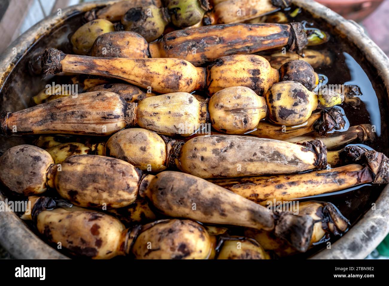 Lotus roots hi-res stock photography and images - Alamy