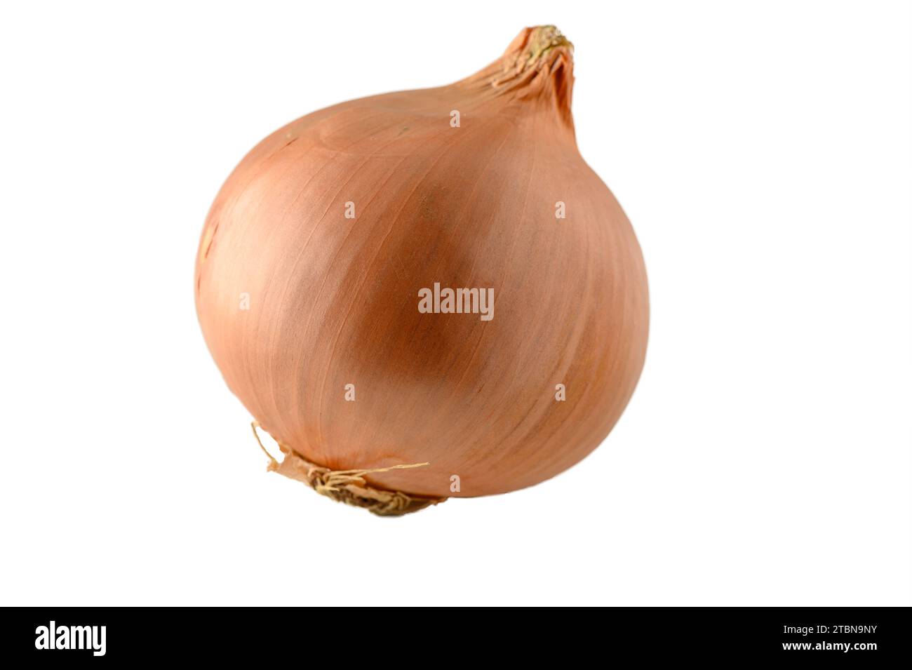 onion on white background for food delivery website Stock Photo - Alamy