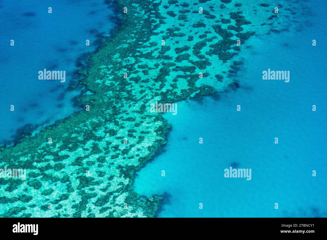 Great Barrier Reef from above, Queensland, Australia. Heart reef Stock ...