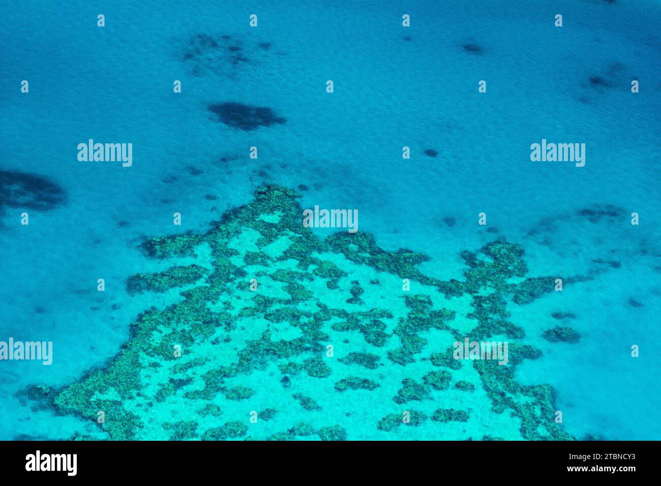 Aerial view above coral reef hi-res stock photography and images - Alamy