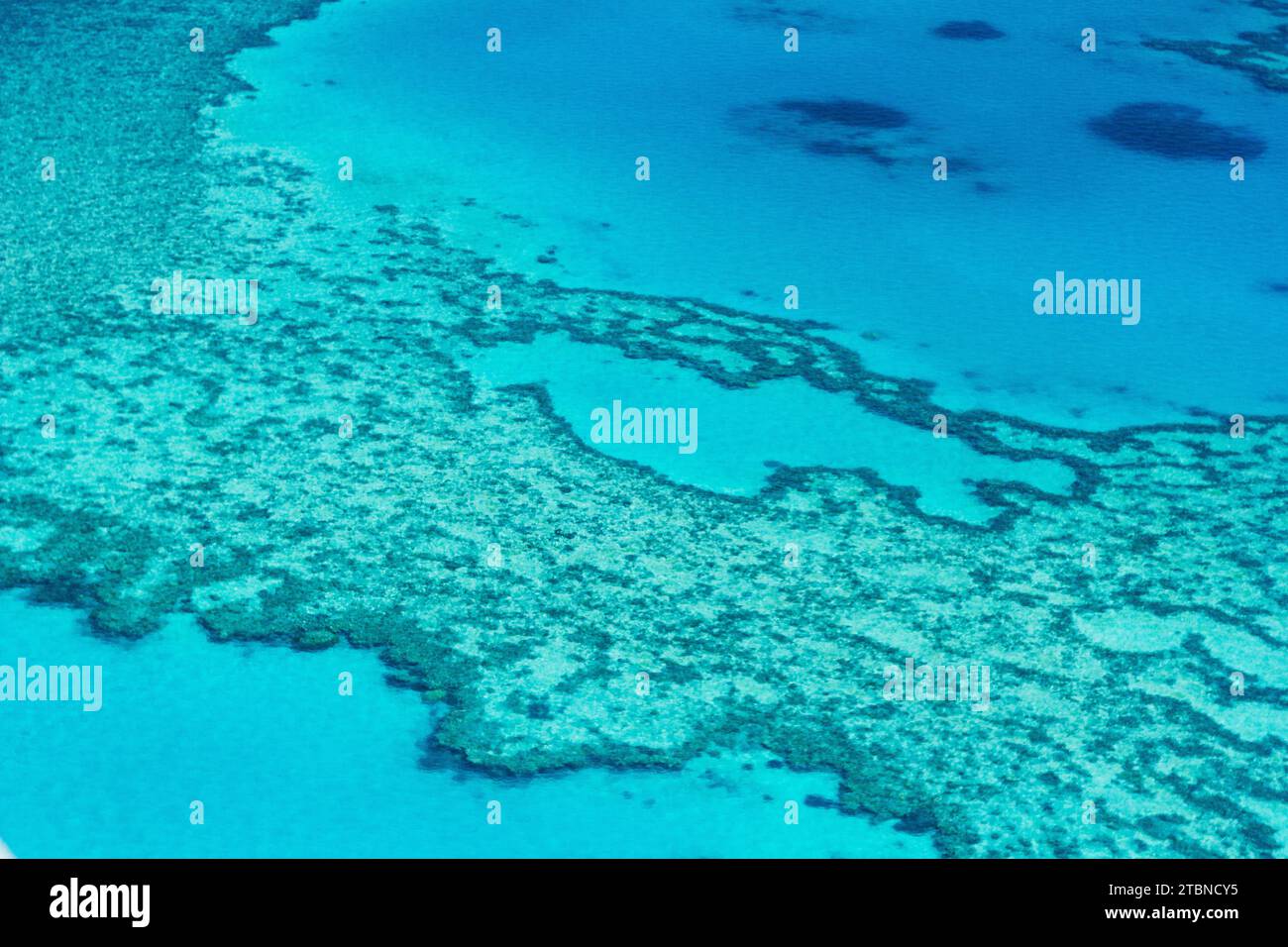 Beautiful great barrier reef hi-res stock photography and images - Alamy