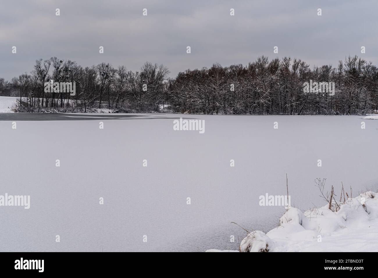 Ice covered pond with snow and forest on the background during cloudy ...