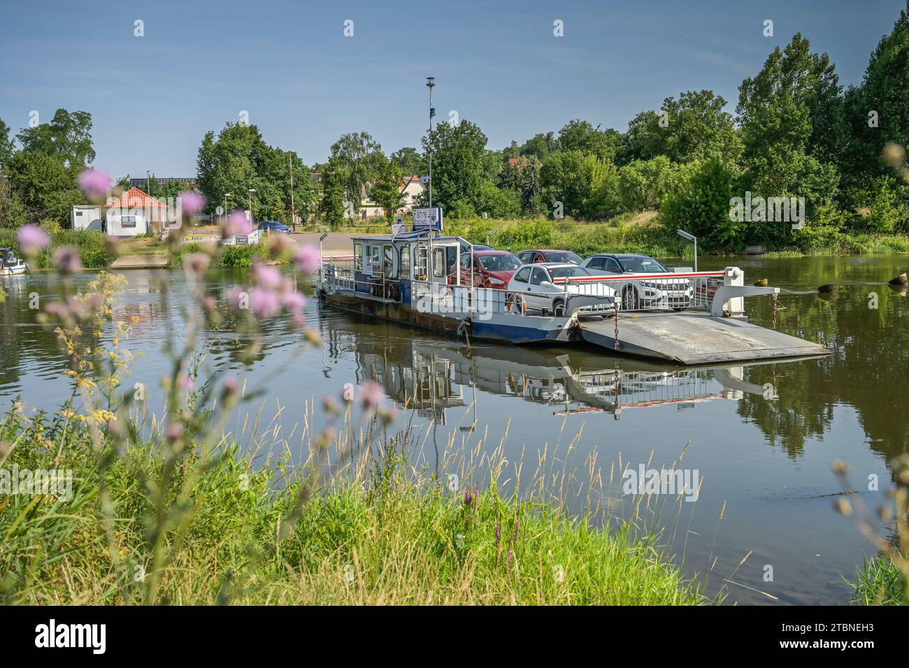 Wunderschne Fhre Deutschland Dnemark Bild
