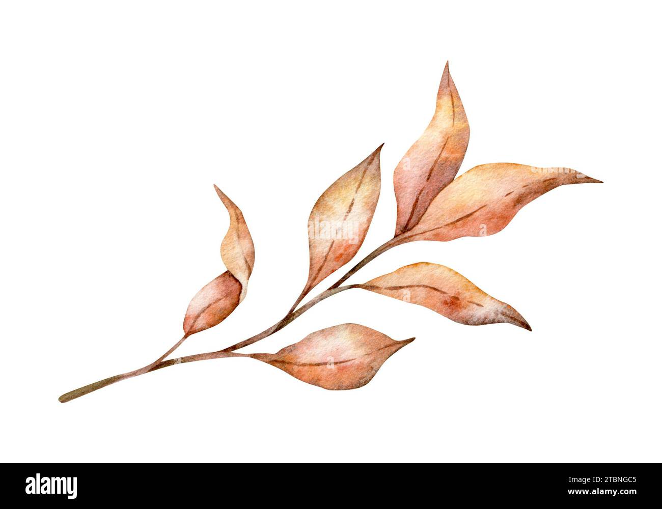 Rustic wedding greenery. Dried leaves, bleached grass, autumn herbal ...