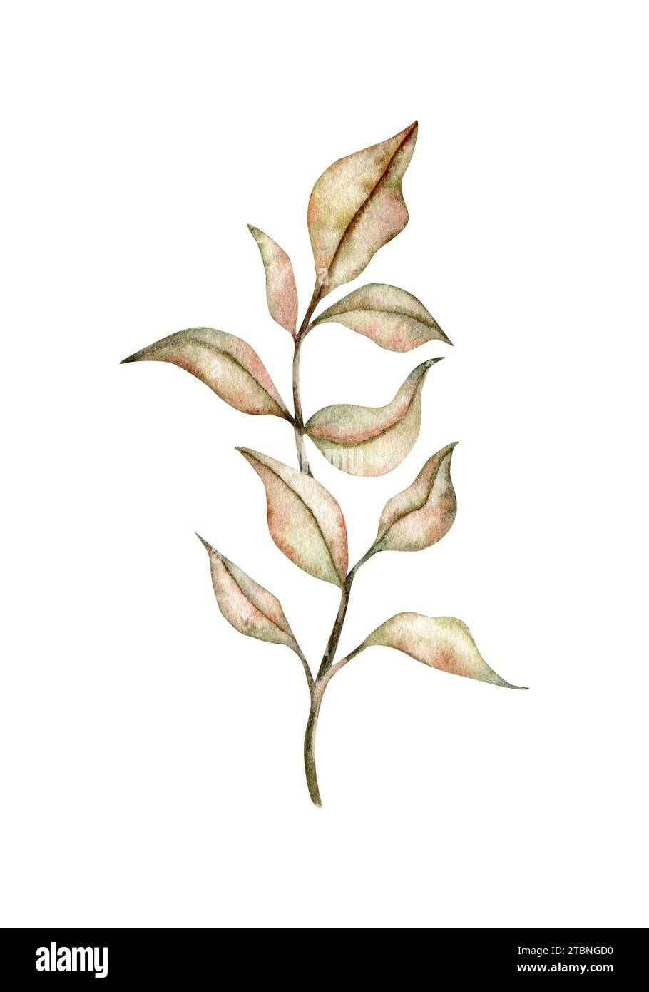 Rustic wedding greenery. Dried leaves, bleached grass, autumn herbal ...