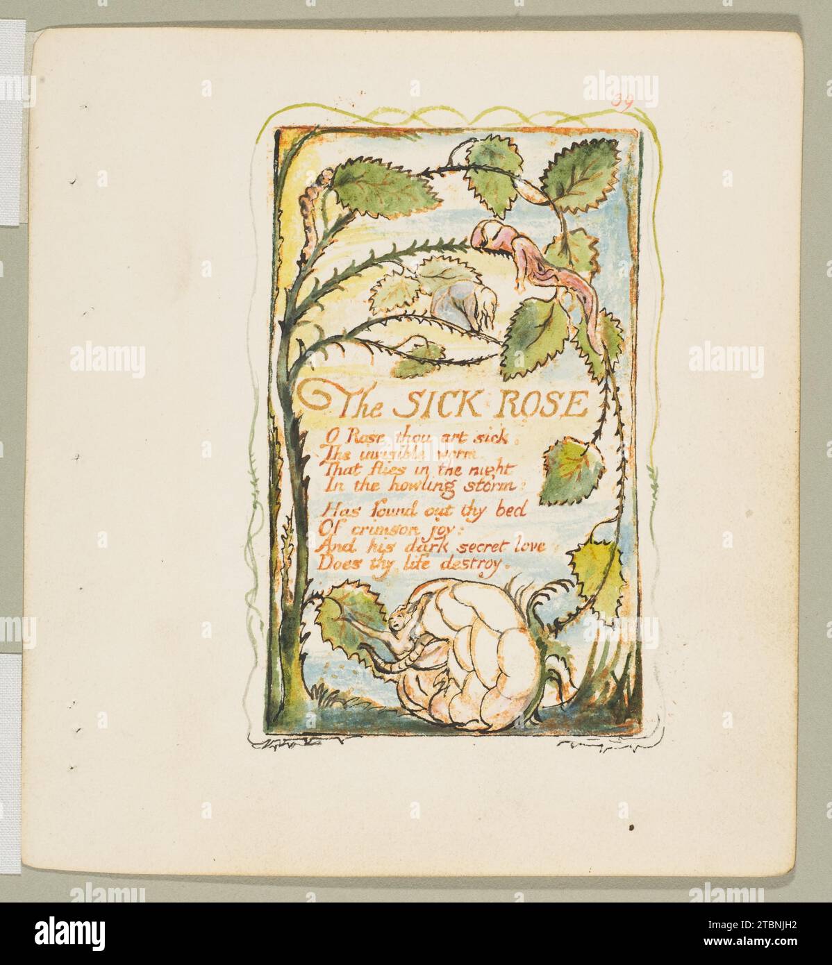William blake the sick rose hi-res stock photography and images - Alamy