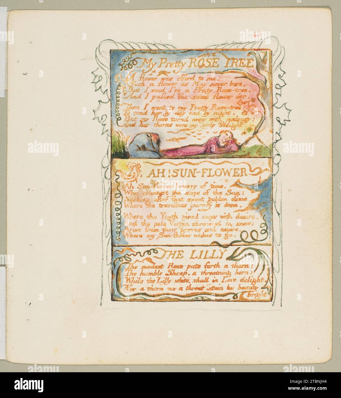 Songs of Experience: My Pretty Rose Tree, Ah! Sun-Flower, The Lilly ...