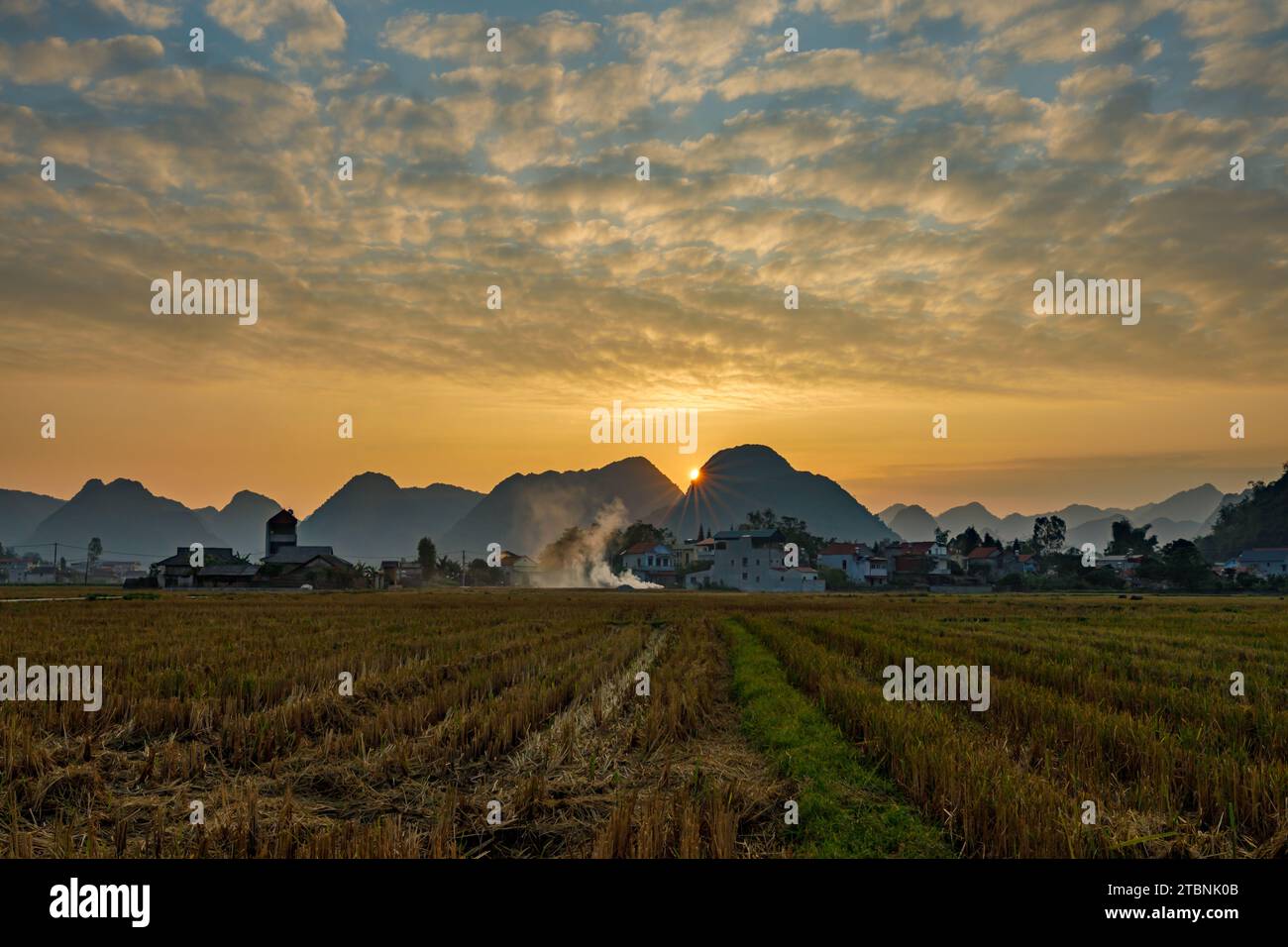 Rice fields in the Bac Son Valley of Vietnam at Sunset Stock Photo - Alamy