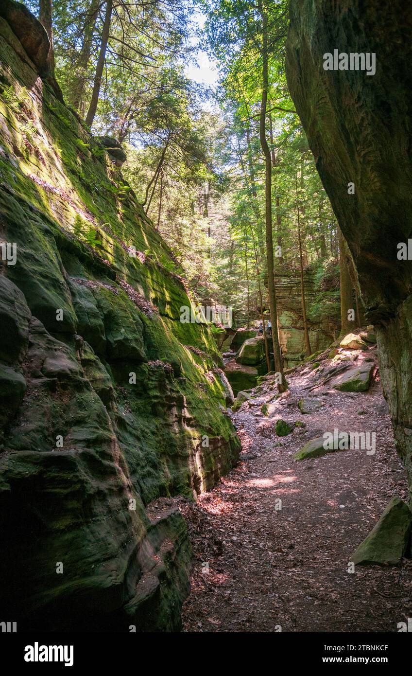 The Ledges Trail at Cuyahoga Valley National Park in Ohio, USA Stock ...