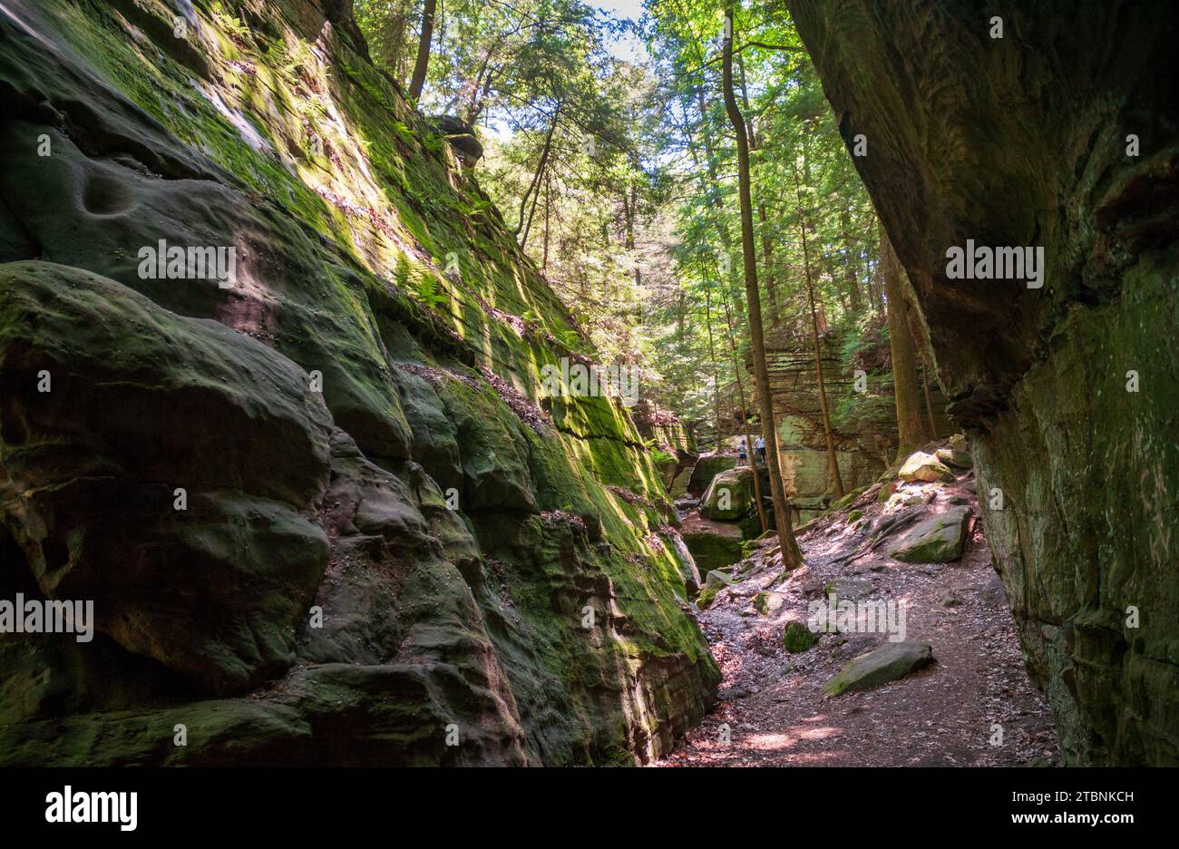 The Ledges Trail at Cuyahoga Valley National Park in Ohio, USA Stock ...