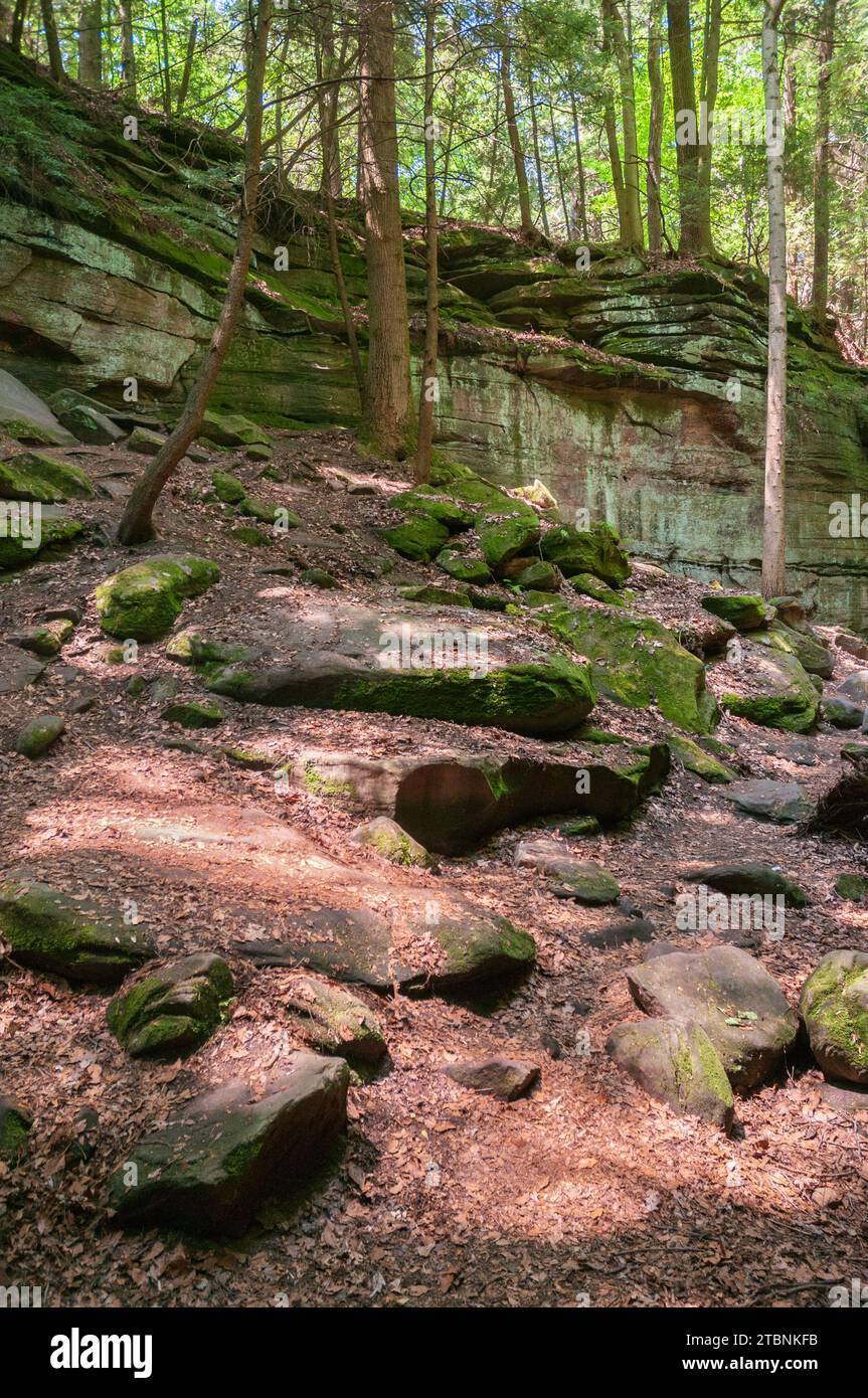 The Ledges Trail at Cuyahoga Valley National Park in Ohio, USA Stock ...