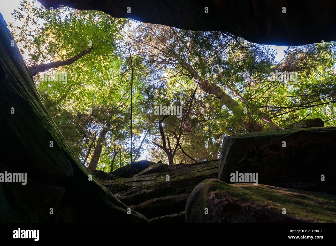 The Ledges Trail at Cuyahoga Valley National Park in Ohio, USA Stock ...