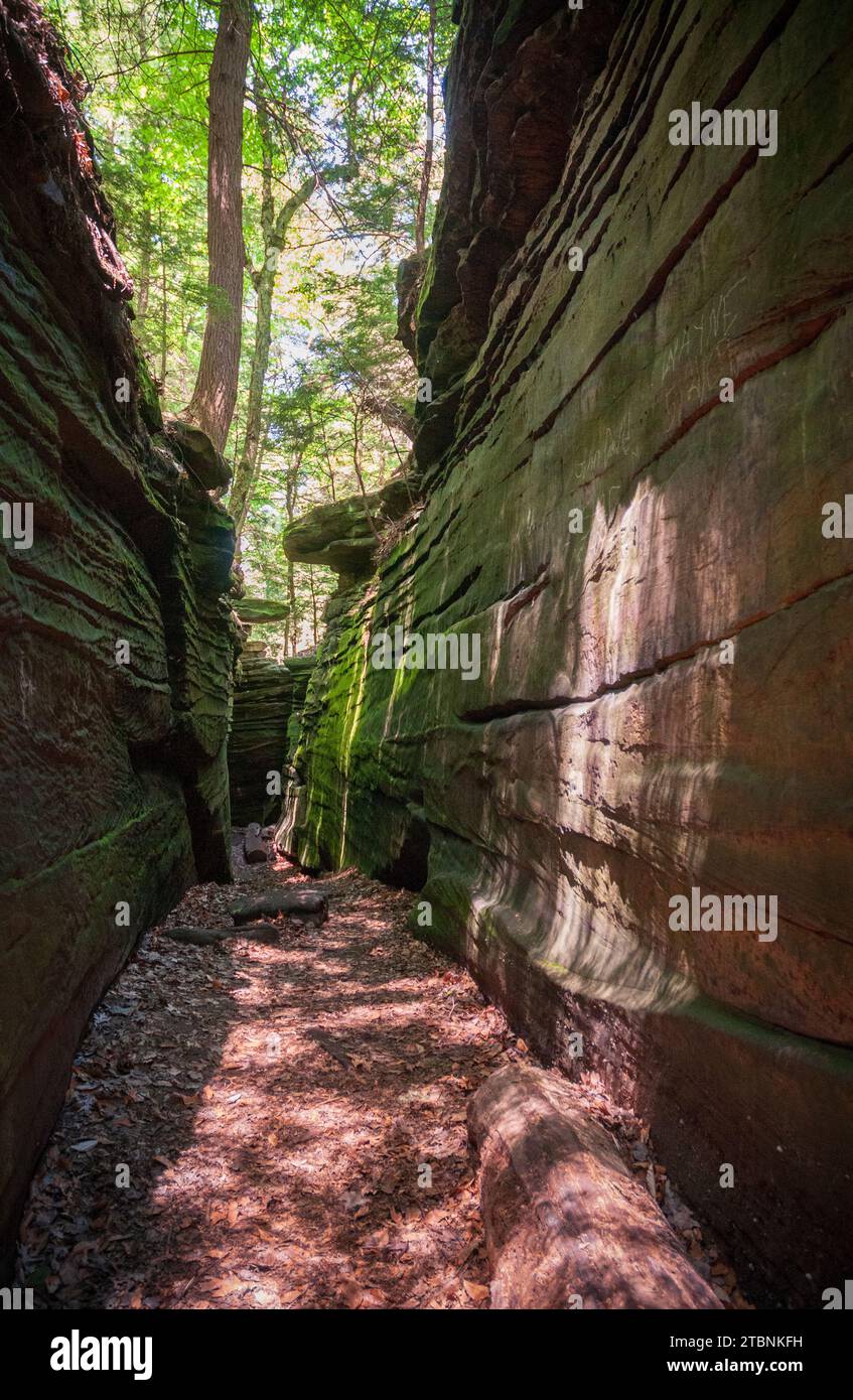 The Ledges Trail at Cuyahoga Valley National Park in Ohio, USA Stock ...