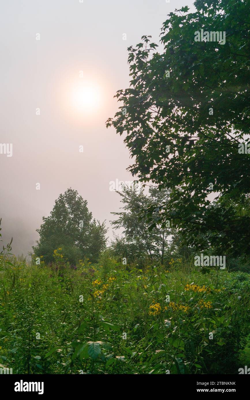 An Overlook with Fog at Cuyahoga Valley National Park in Ohio Stock ...