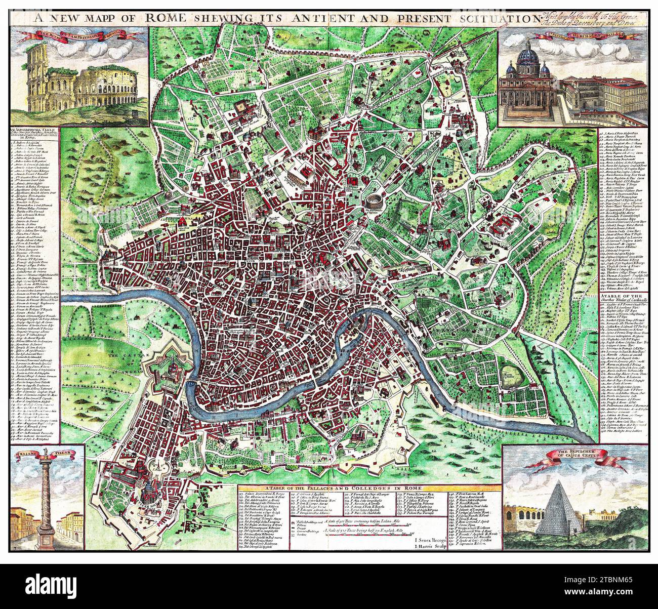 Cestus Cut Out Stock Images & Pictures - Alamy