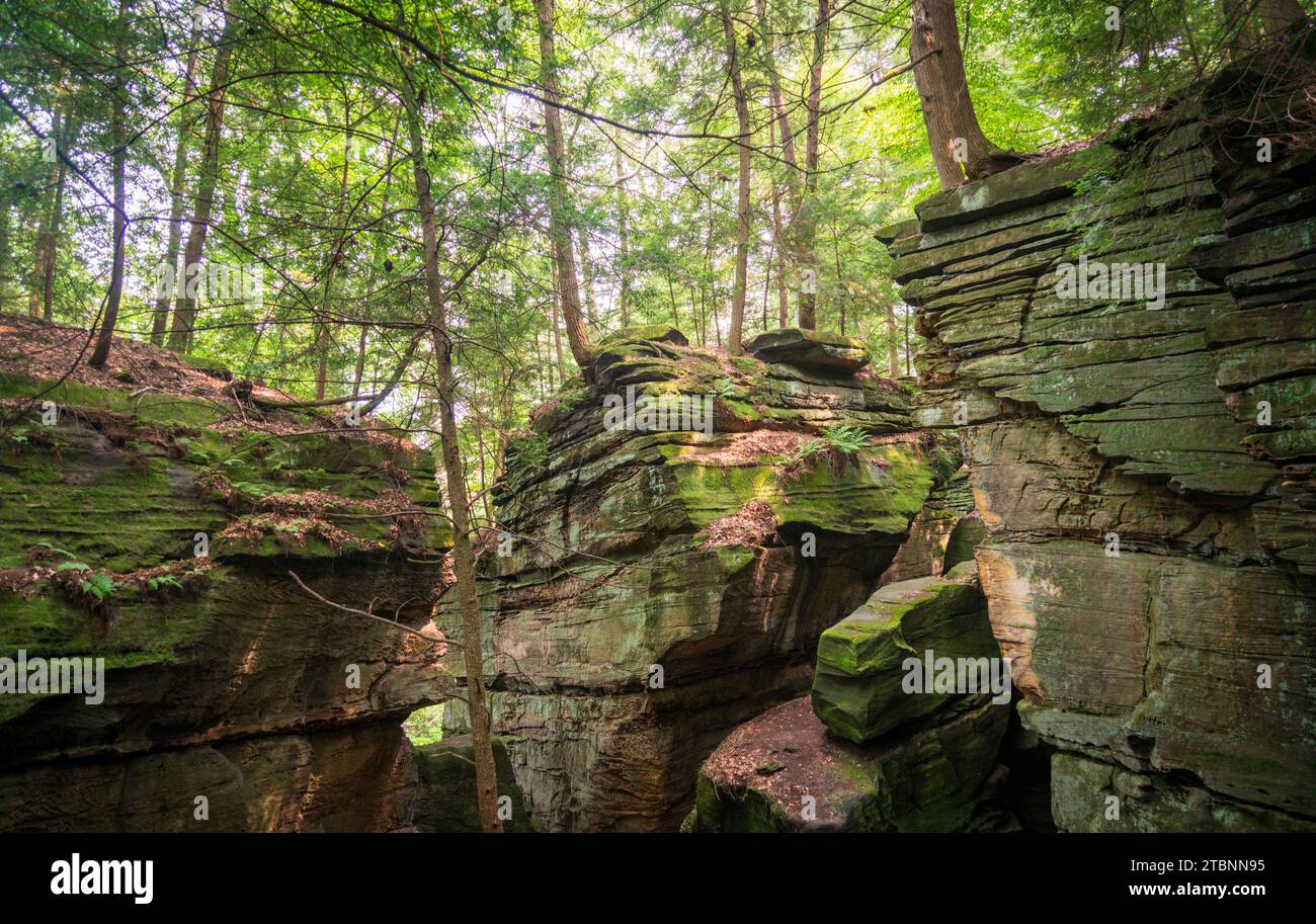 The Ledges at Cuyahoga Valley National Park in Ohio, USA Stock Photo ...