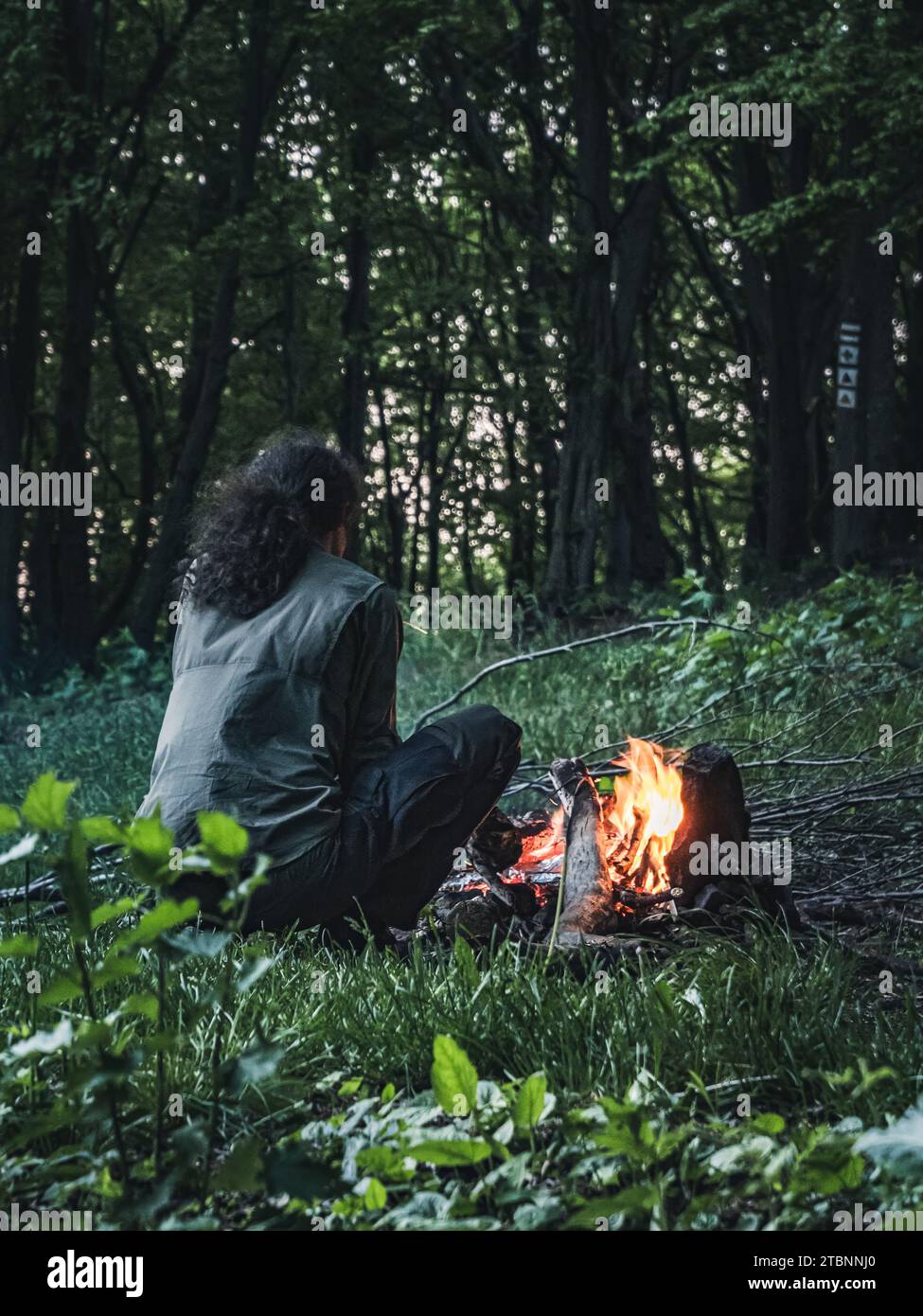 Long haired person sitting at a campfire in the forest, from the back ...