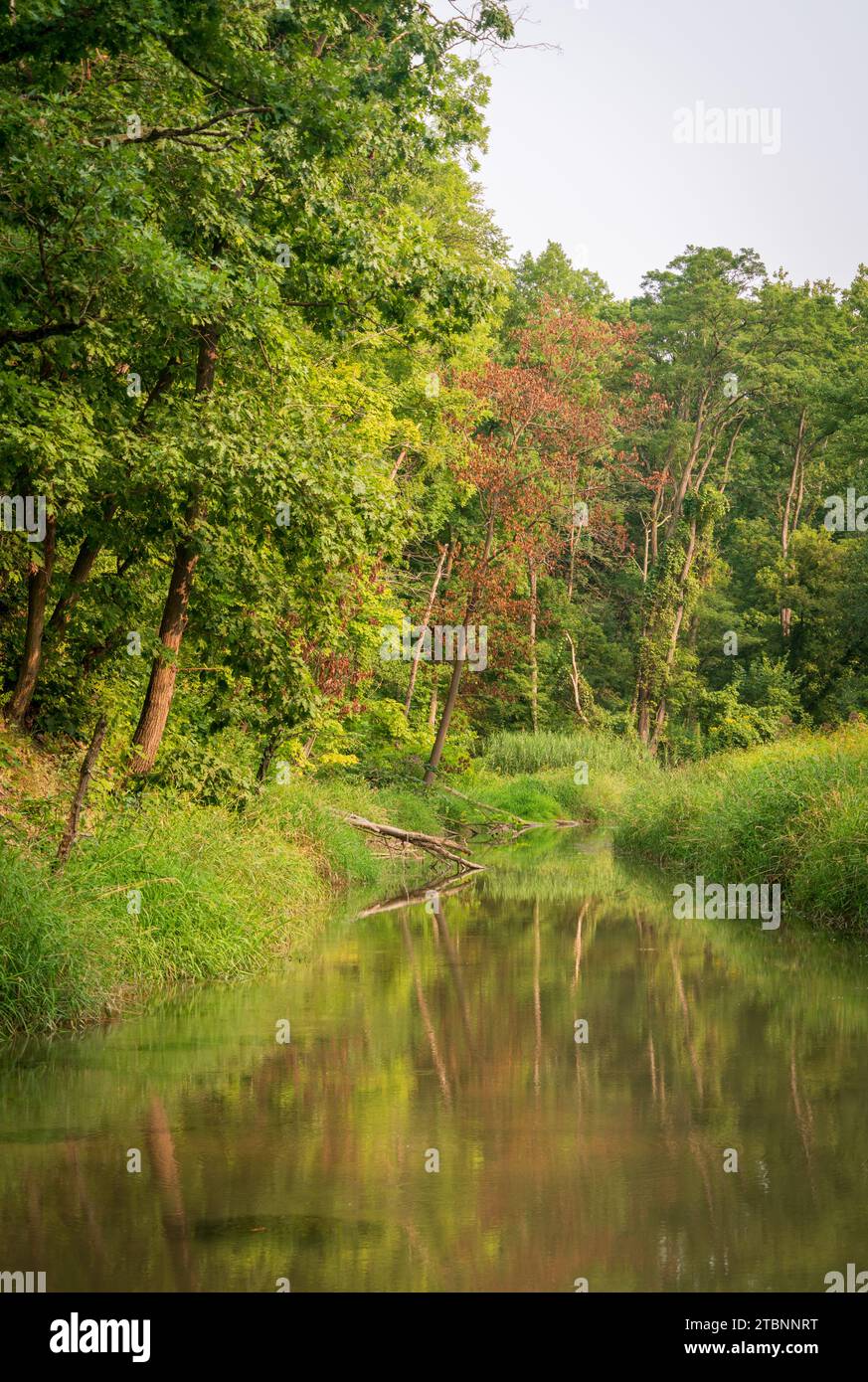 Picturesque stream at Cuyahoga Valley National Park in Ohio, USA Stock ...