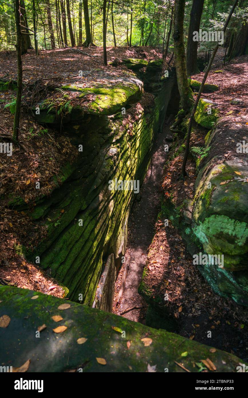 The Ledges Trail at Cuyahoga Valley National Park in Ohio, USA Stock ...