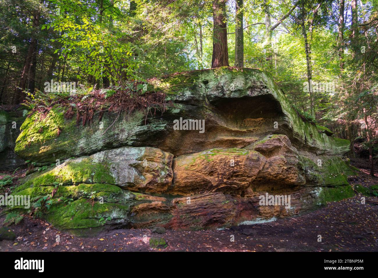 The Ledges Trail at Cuyahoga Valley National Park in Ohio, USA Stock ...