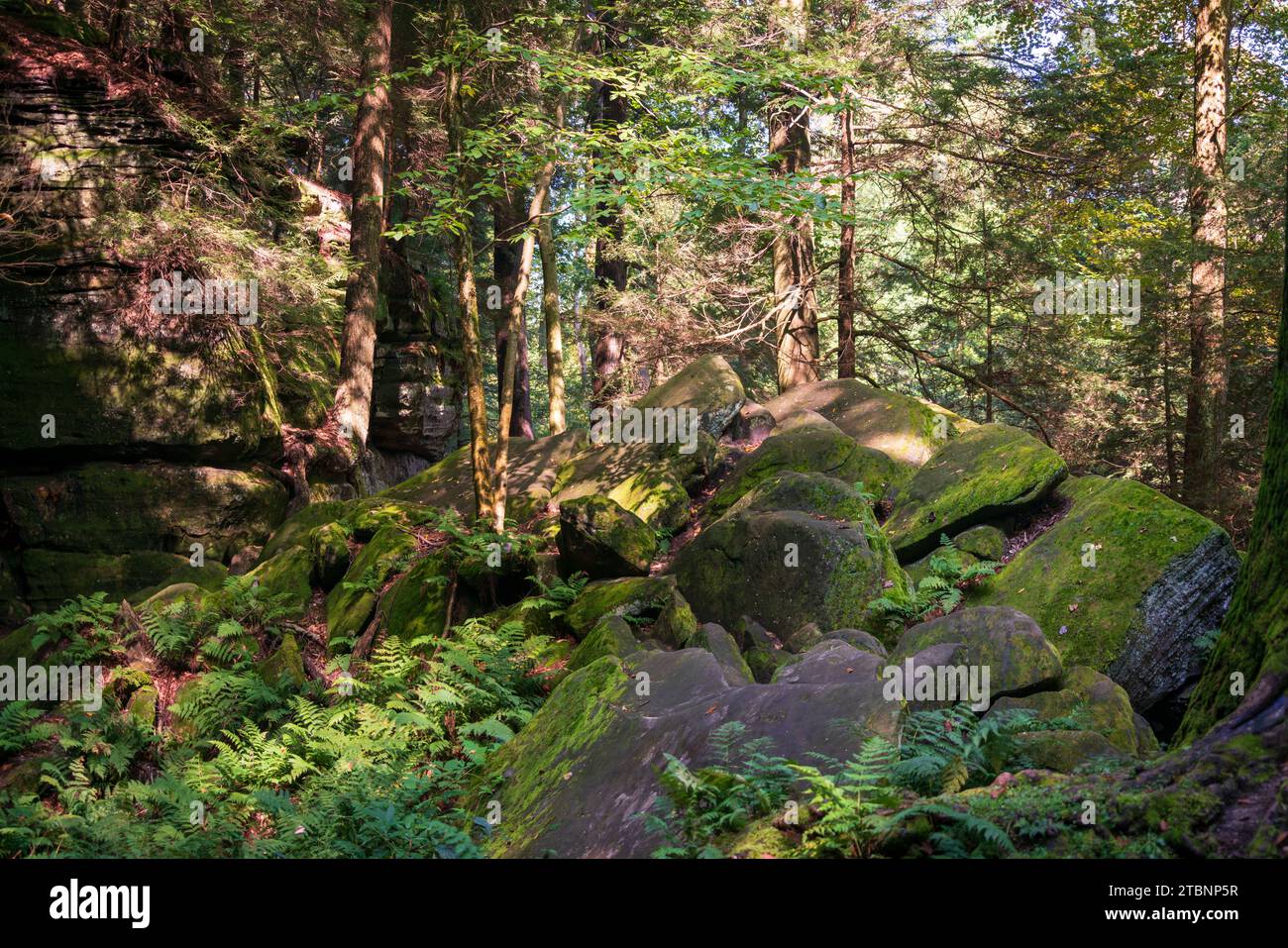 The Ledges Trail at Cuyahoga Valley National Park in Ohio, USA Stock ...